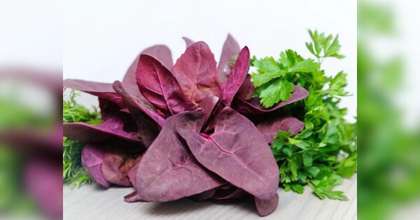 Red Spinach is a boon for diabetic patients it will help to control ...