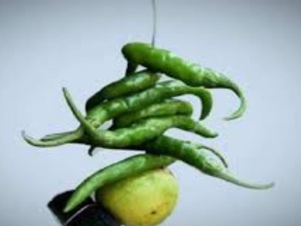nimbu mirchi vastu shastra tips know the correct placing and benefits ...