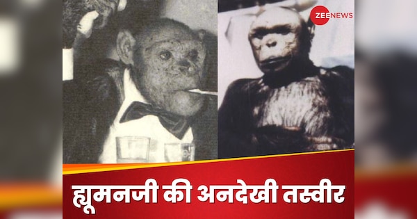 unseen picture of Humanzee with human like face know whole story ...