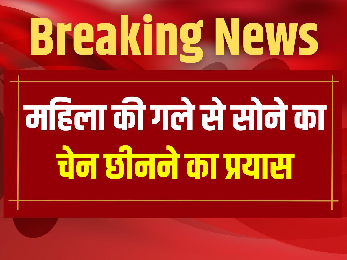 Jaipur chain snatching news miscreants tried to break chain by ...