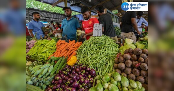 Punjab Bathinda Vegetables Price hike know Onion and Tomato|Vegetable Prices Hike: ਵਧਦੀ ਮਹਿੰਗਾਈ ...