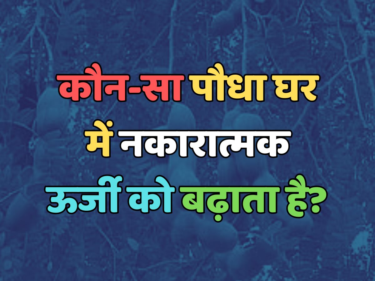 Trending Quiz कौन सा पौधा घर में नकारात्मक ऊर्जी को बढ़ाता है