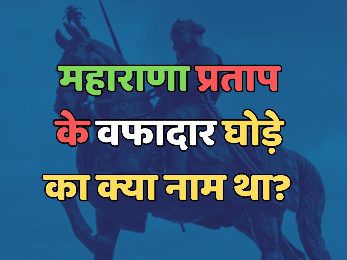 Trending Quiz महाराणा प्रताप के वफादार घोड़े का क्या नाम था