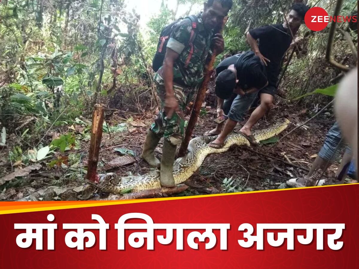 3012934-copy-of-copy-of-zee-web-image-2024-07-04t093931.309.jpg?im ...