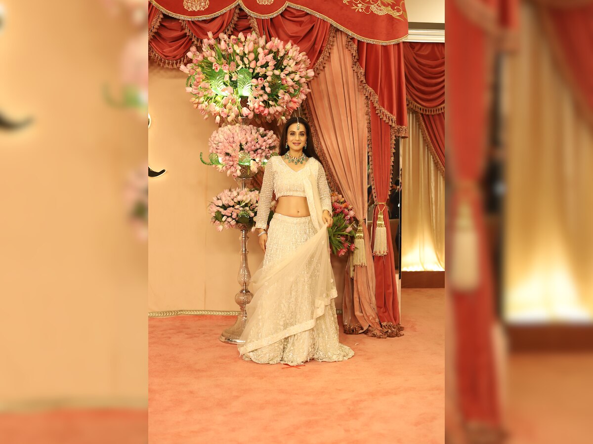 Alia Bhatt Madhuri Dixit Ameesha Patel Vidya Balan Sara Ali Khan ...