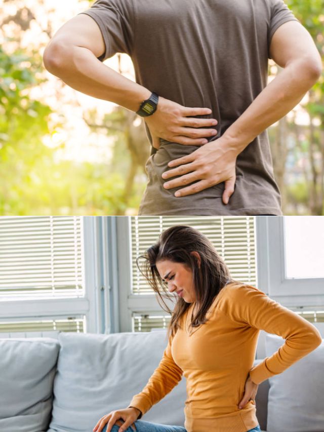Lower Back Pain Symptoms and Treatment What causes lower back pain in ...