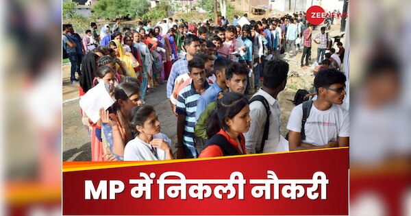 MPPSC MO Recruitment 2024 for 690 Vacancies Apply at mppsc nic in age ...