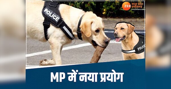 MP में शराब पकड़ने पुलिस लेगी डॉग्स का सहारा, प्रदेश में पहली बार होगा ...
