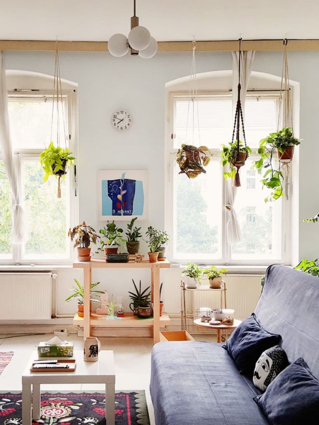 Humidity In House indoor plants that removes moisture from house during ...