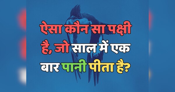 Trending Quiz ऐसा कौन सा पक्षी है जो साल में एक बार पानी पीता है