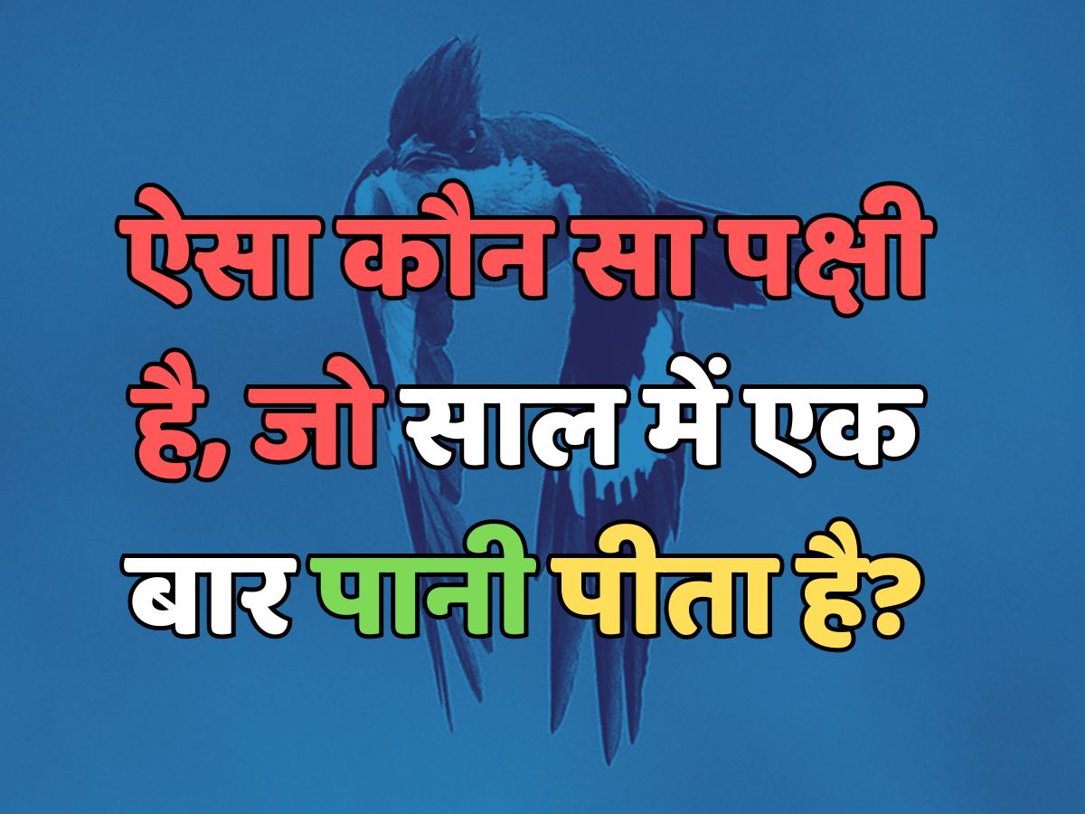 Trending Quiz ऐसा कौन सा पक्षी है जो साल में एक बार पानी पीता है