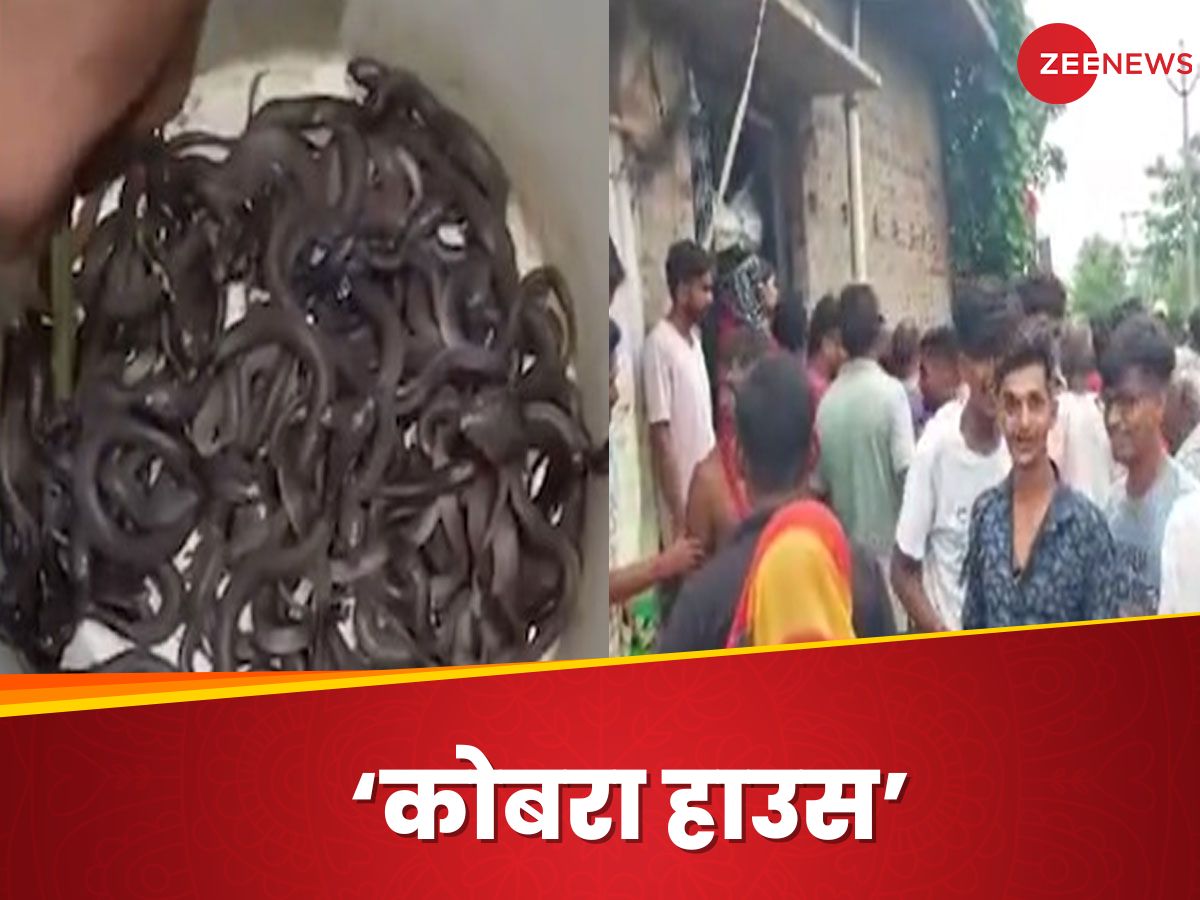 Kushinagar News Sanake Viral Video Cobra house 140 snakes public thanks ...