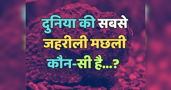 Trending Quiz दुनिया की सबसे जहरीली मछली कौन सी है Trending Quiz