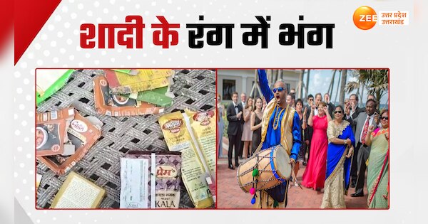 more than 24 wedding guests got ill after eating food prepared with ...