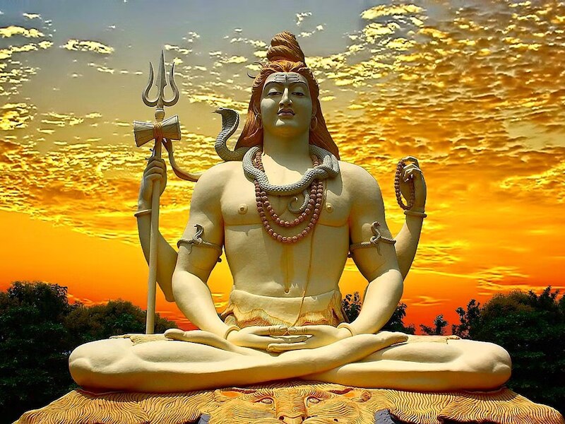 why do snakes guard treasure and protect money how snakes survive in ...