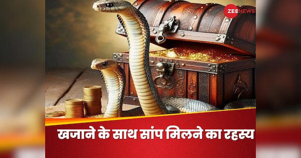 why do snakes guard treasure and protect money how snakes survive in ...