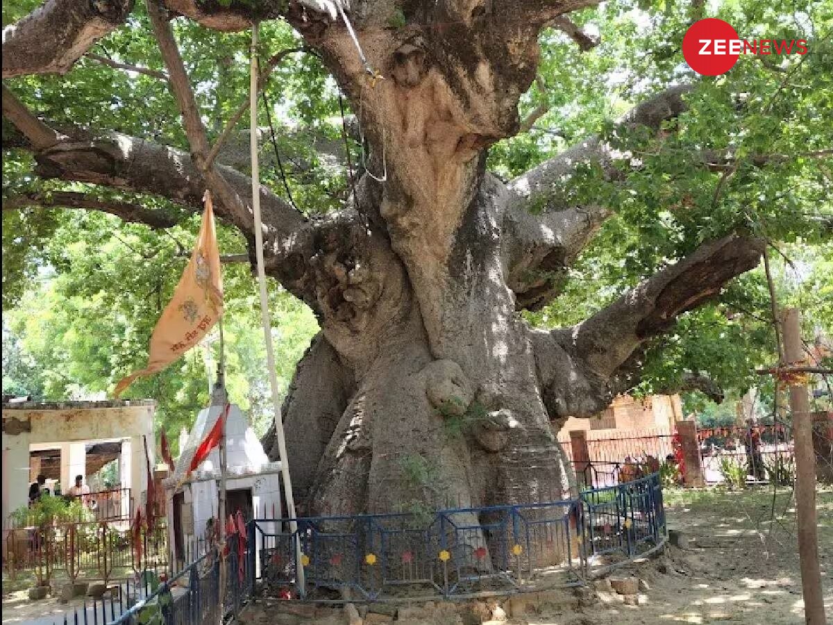 Barabanki beautiful places visit in monsoon | बाराबंकी के पास बसी है ...