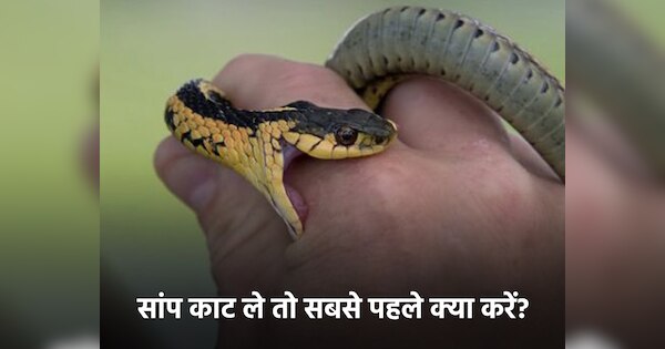 World snake day: what to do and what not if snake bites you 5 common ...