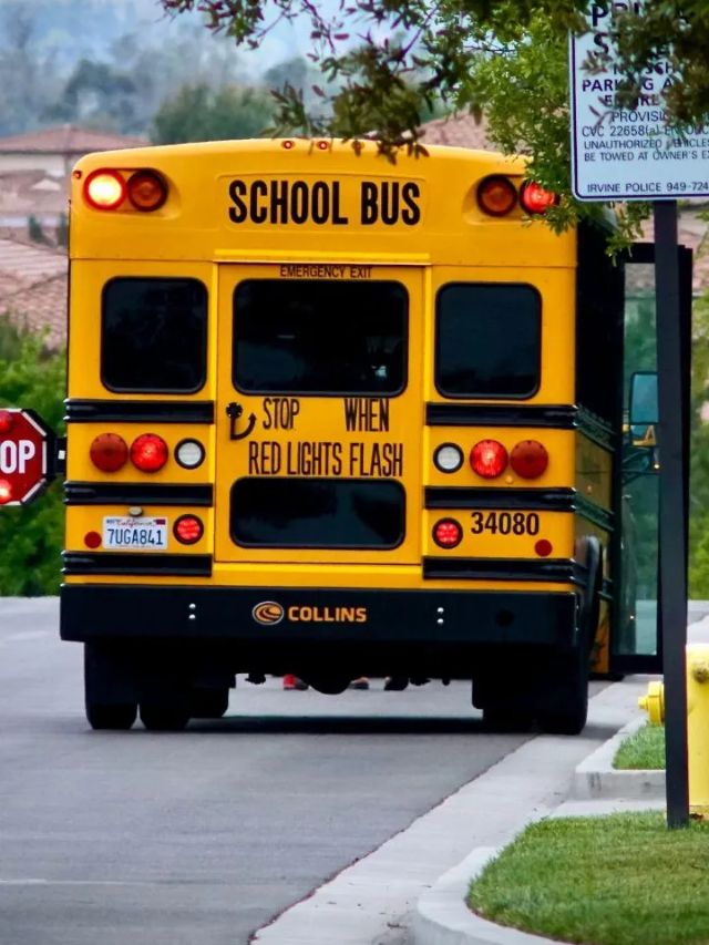 After all why is the color of the school bus yellow | Yellow School Bus ...