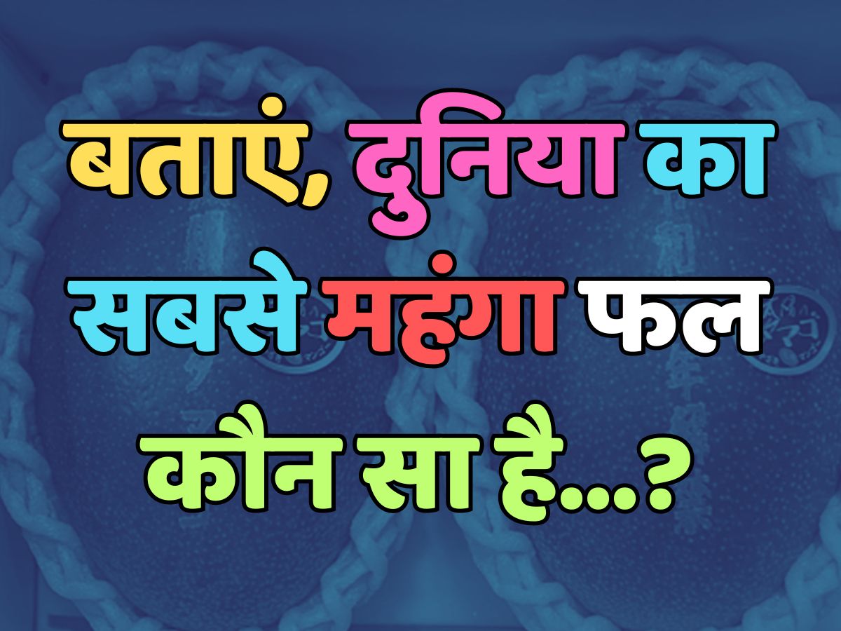 Trending Quiz दुनिया का सबसे महंगा फल कौन सा है Trending Quiz