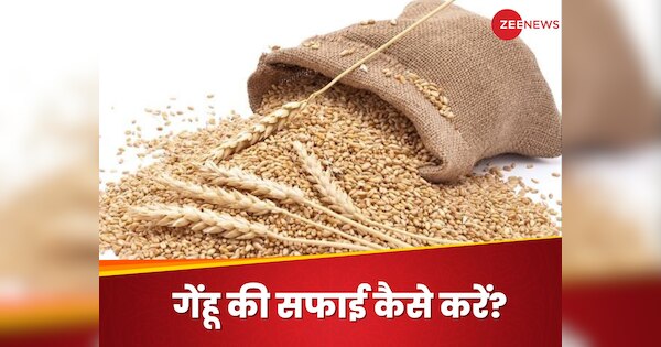 How To Clean Dirty Wheat Before Sending to Flour Mill Separate Rock and ...