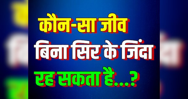 GK Quiz General knowledge question which anilmal survive without its ...