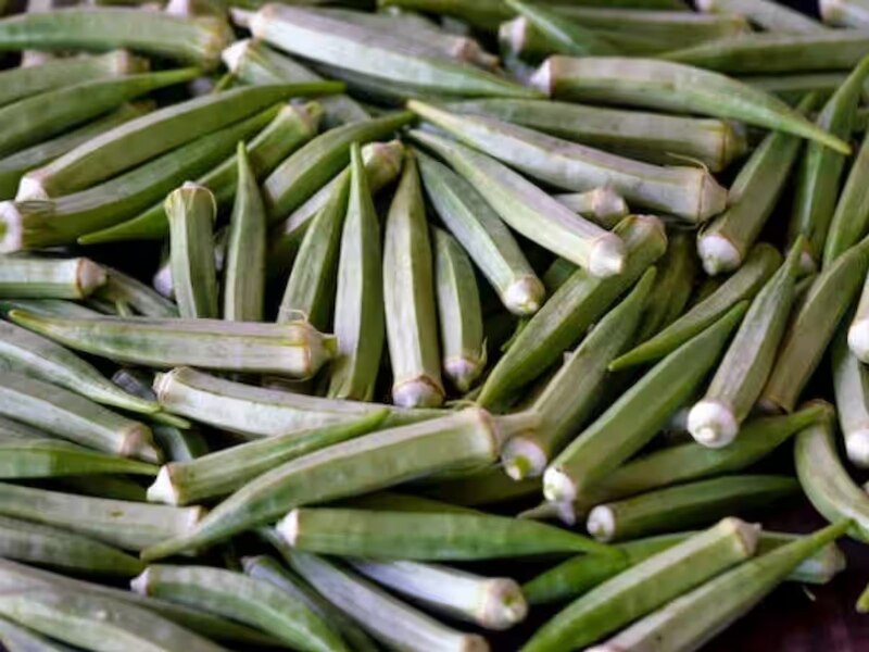 lady finger farming Know method of cultivation | Lady Finger Farming ...