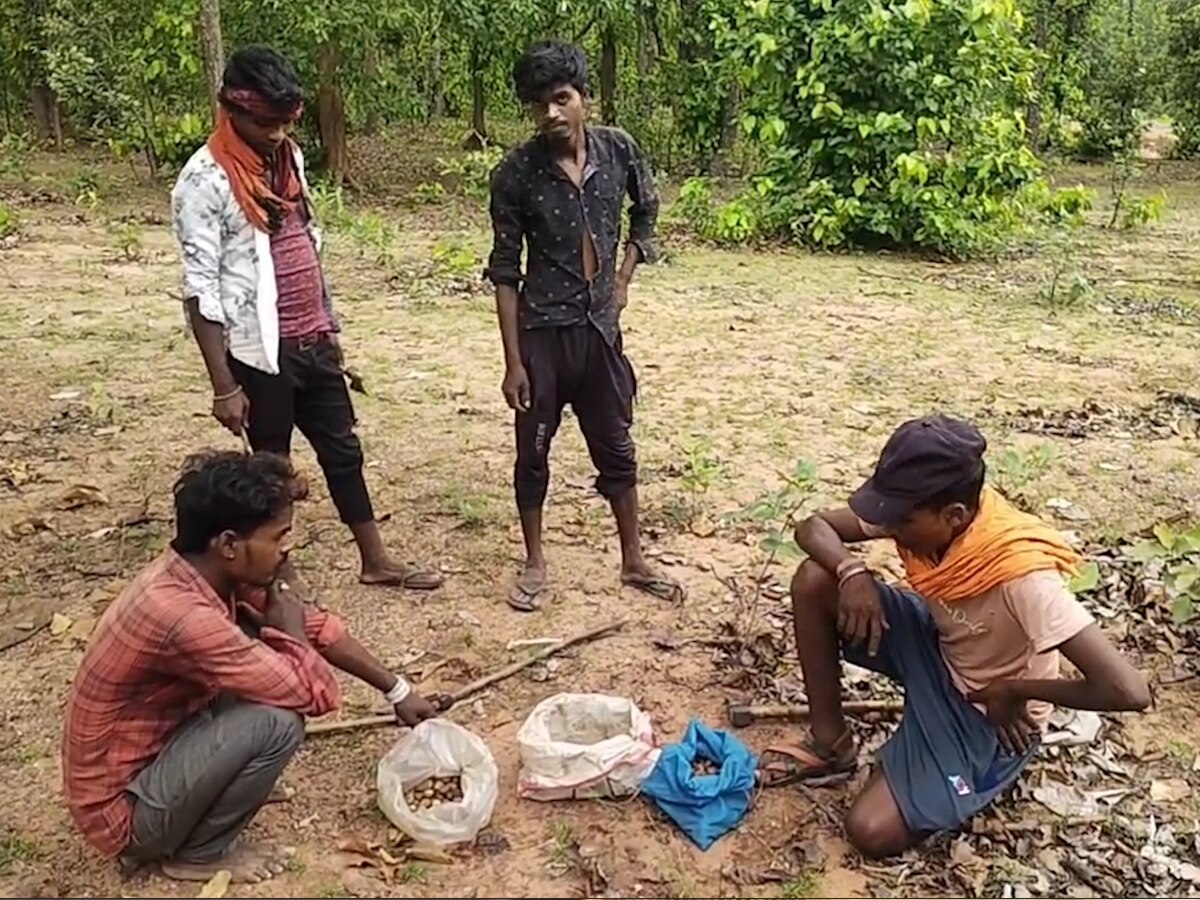 Chhattisgarh News Puttu vegetable expensive than paneer and chicken ...