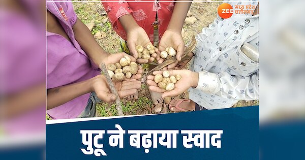 Chhattisgarh News Puttu vegetable expensive than paneer and chicken ...