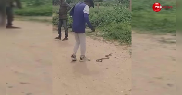 drunk man plays with king cobra like a toy in andhra pradesh landed in ...
