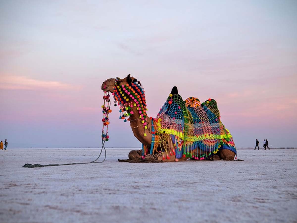 Largest District of India Twice bigger than Israel Kuwait Photos: भारत ... Largest District of India Twice bigger than Israel Kuwait Photos: भारत ...