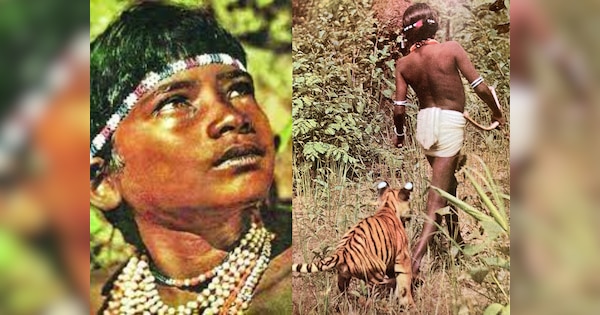 International Tiger Day story of bastar boy chendru film the jungle ...