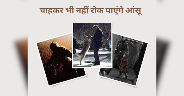 Hachi A Dog Tale Saving Private Ryan Schindler List Forrest Gump The ...