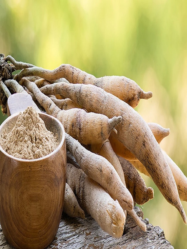 8 Powerful Health Benefits of Shatavari You should also include it in ...