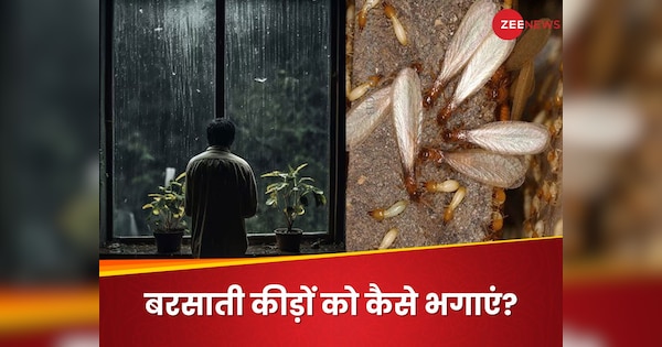 How To Get Rid of Rain Insects During Monsoon Barsati Keede Kaise ...