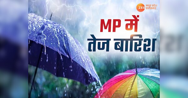 MP Weather News today 2 august orange yellow heavy rain alert in 41 districts Madhya Pradesh ...