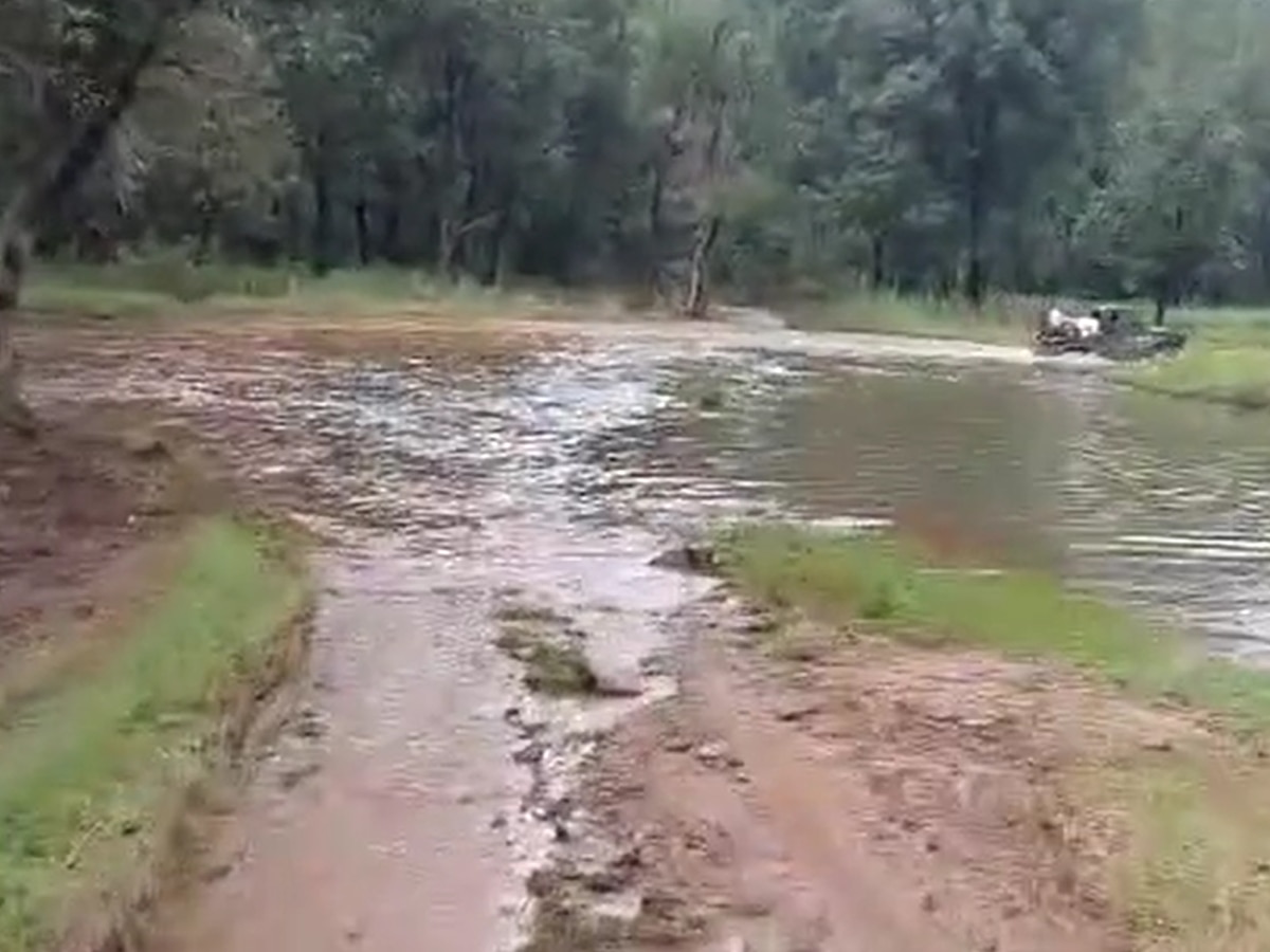 Nagdwari Mela in pachmarhi nagdwar yatra 2024 started know about ...