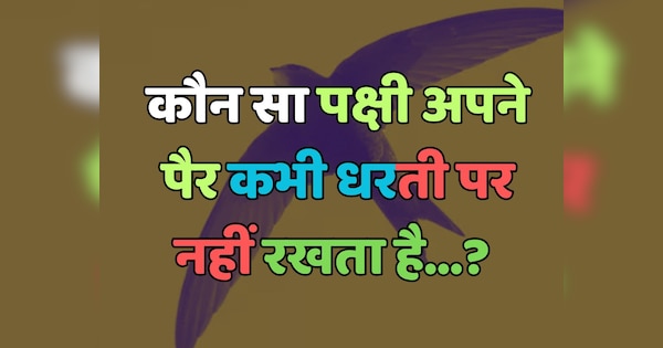 Trending Quiz कौन सा पक्षी अपने पैर कभी धरती पर नहीं रखता है
