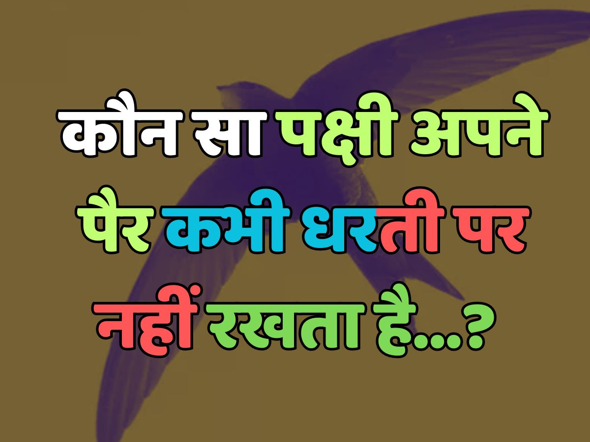 Trending Quiz कौन सा पक्षी अपने पैर कभी धरती पर नहीं रखता है