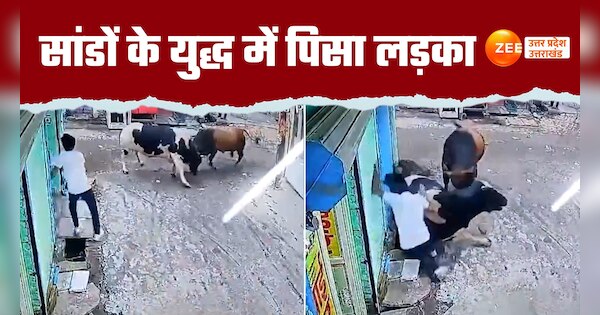 Ghaziabad Loni Border Bull Fight injured youth saand ki ladai ka CCTV ...