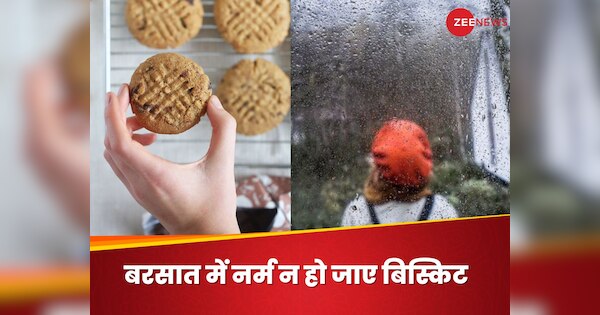 How to Prevent biscuits and snacks from getting soft during rainy ...