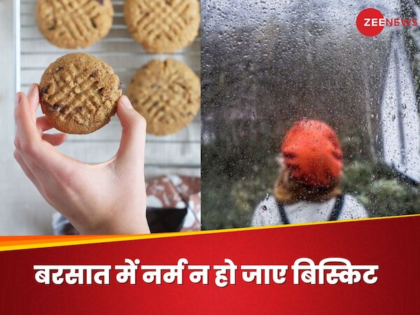 How to Prevent biscuits and snacks from getting soft during rainy ...