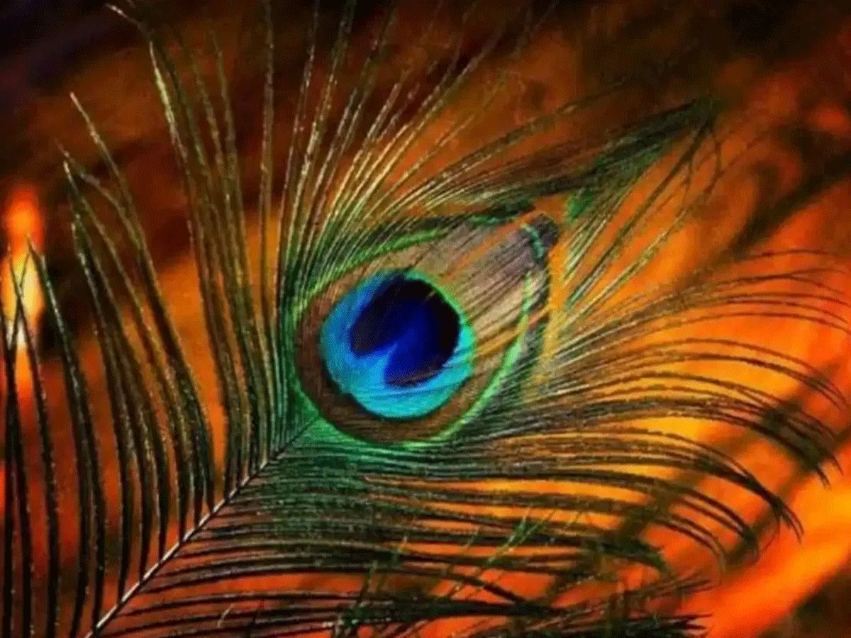 Khatu Shyam Ji 5 things awaken your sleeping luck | सोई हुई किस्मत जगा देंगी खाटू श्याम ये 5 ...