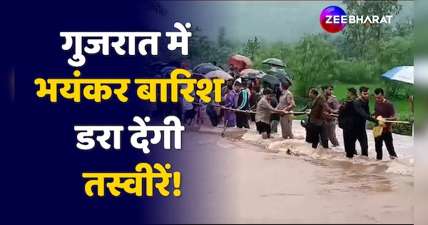 Gujarat News Navsari Police rescued several tourists trapped in the ...
