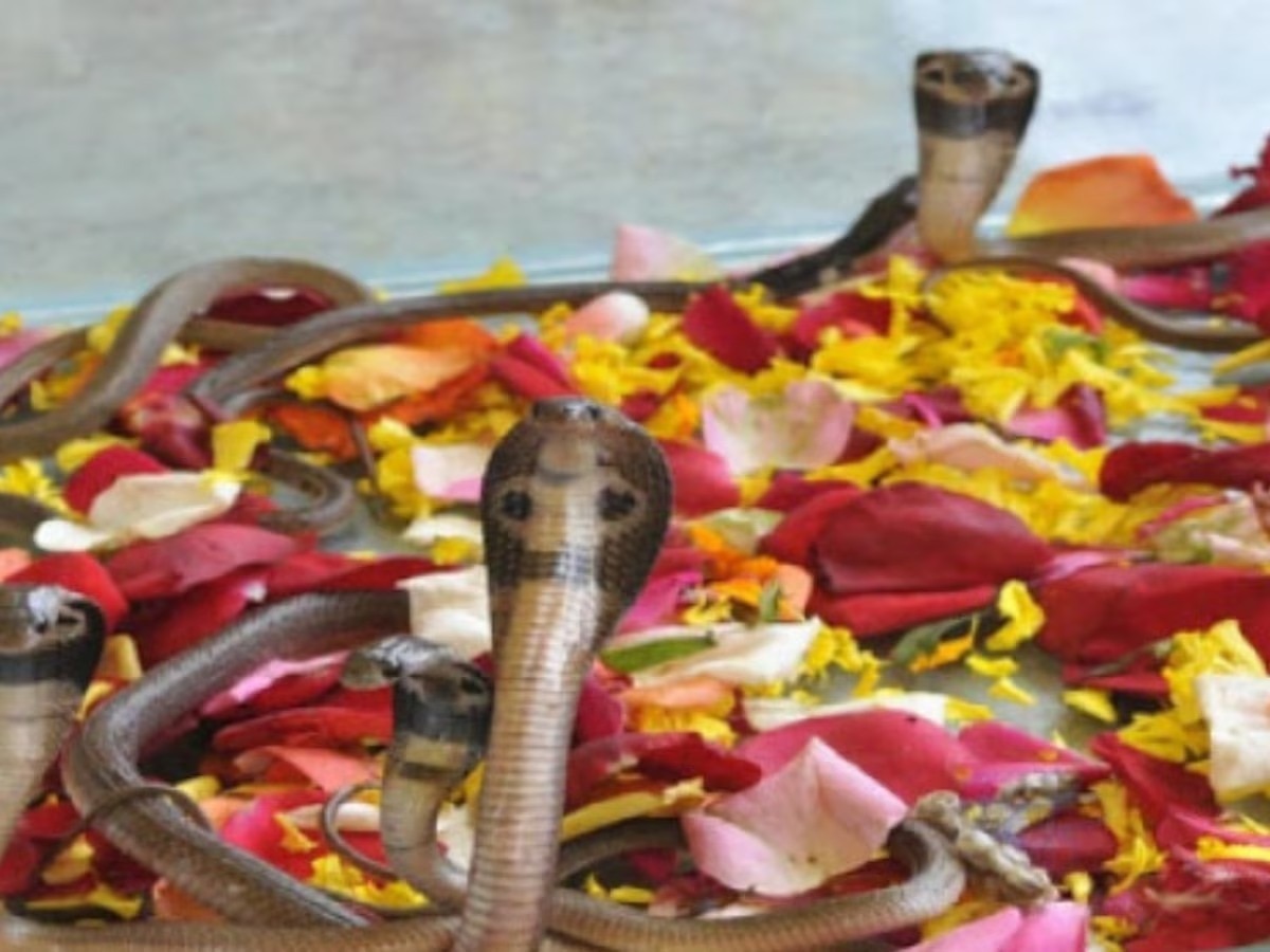 when is nag panchami 2024 this year know the mythology and importance ...