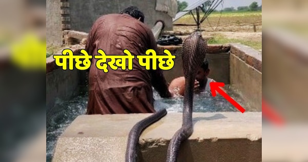 Snake video poisonous cobra was seen with man taking bath in tubewell ...