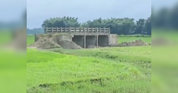 Bihar News araria river bridge build in field viral video RWUD exposed truth | Bihar News: सामने ...