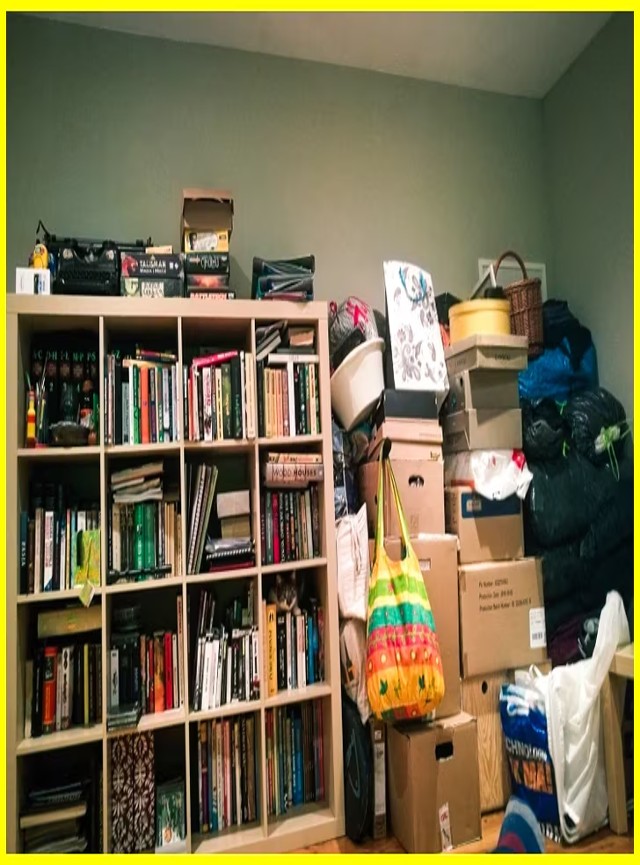 Optical Illusion find CAt hidden between books khojo to jane | किताबों ...