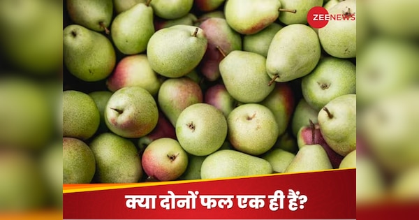 Which is better, Nashpati or Babugosha? What is the English name of ...