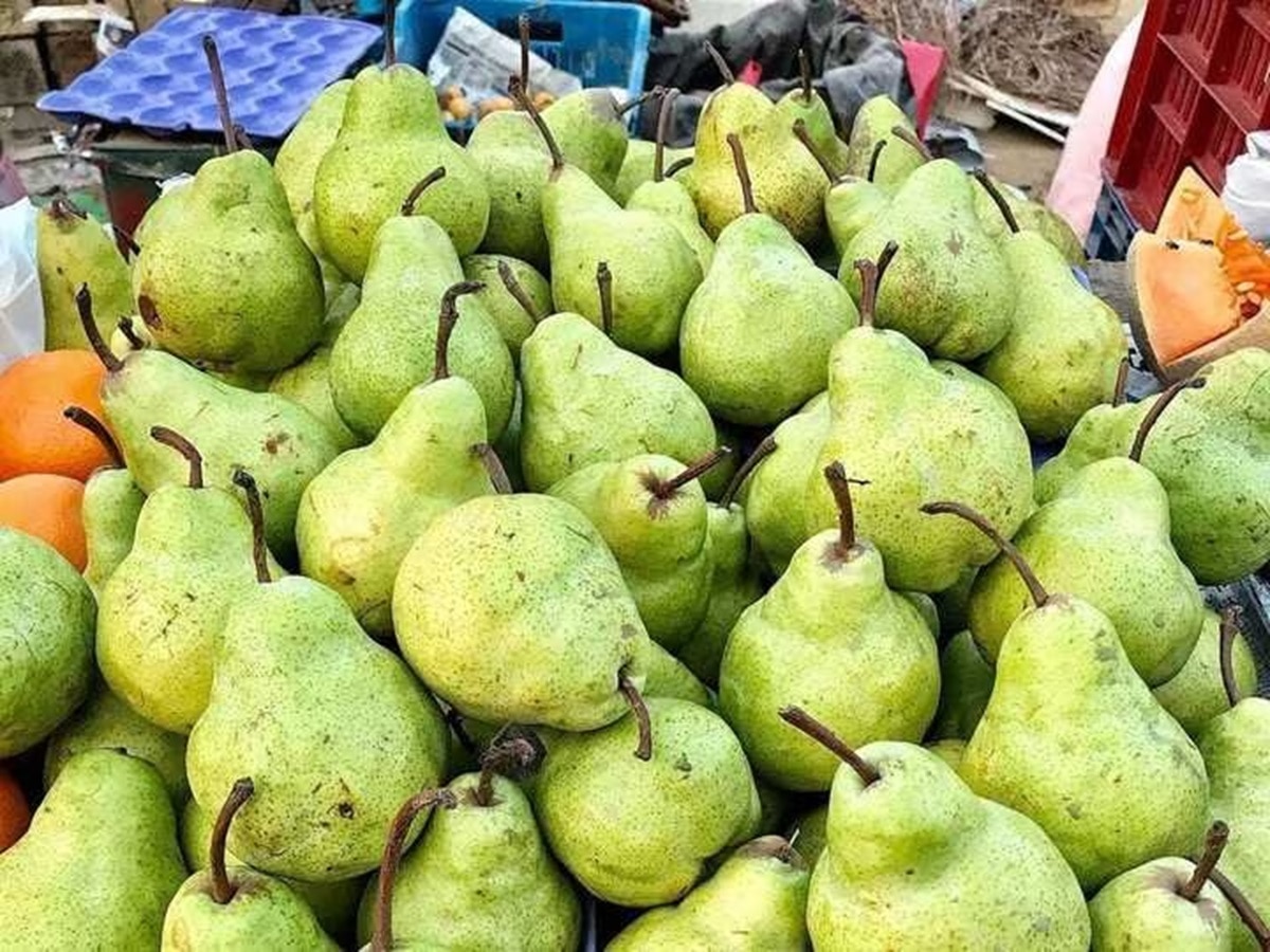 Which is better, Nashpati or Babugosha? What is the English name of ...